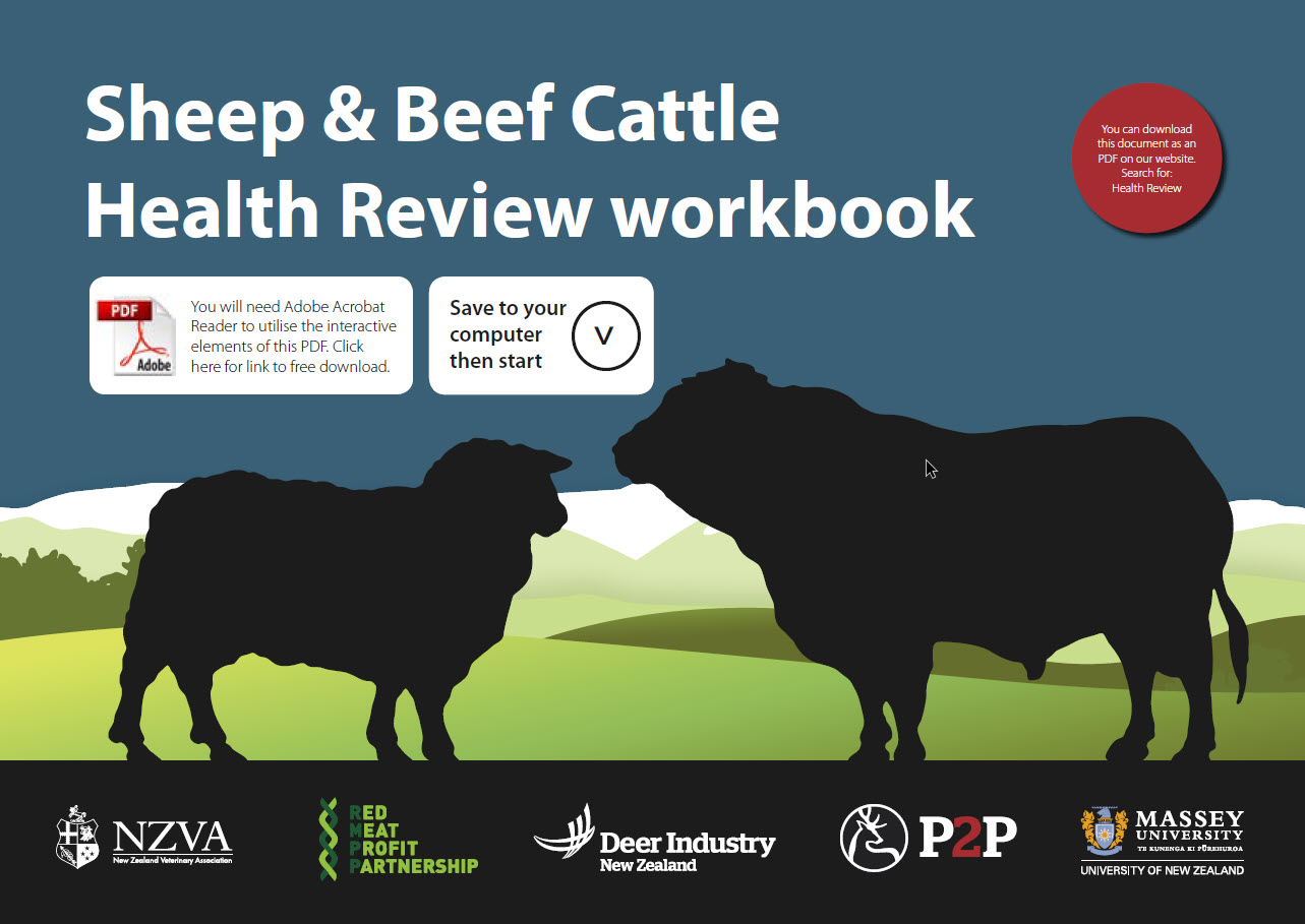 Sheep and beef battle health review workbook | Beef + Lamb New Zealand